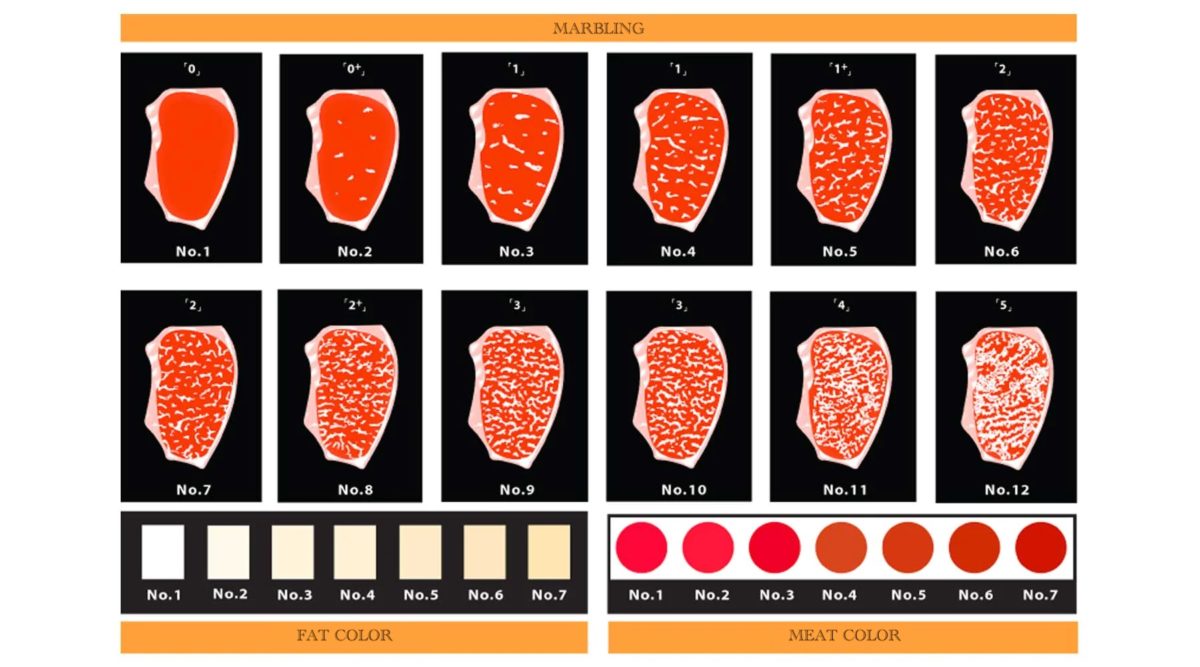 Classifications - Wagyu Malta